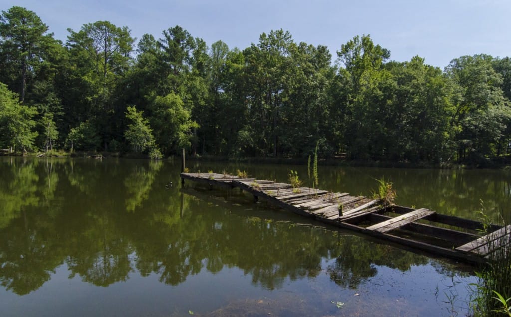 Neel Reid Historic Country Estate on Farm Land Near Atlanta